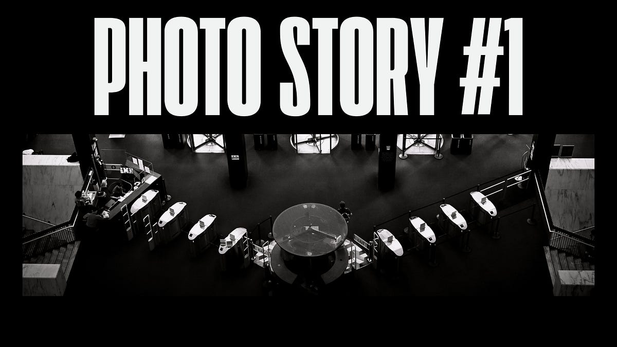 Photo Story#1: Bobst in the Summer | by The Violet Edition | Medium