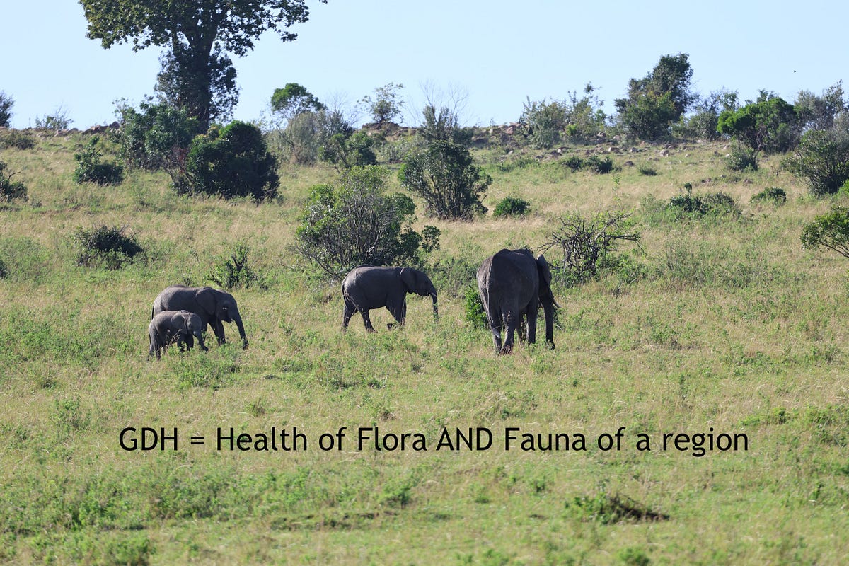 Proposing the Gross Domestic Health (GDH) as a measure of regional and ...