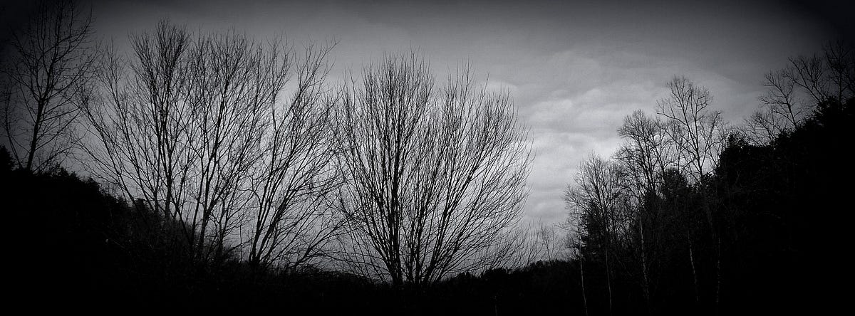 December in Grey. December in the mountains is grey. | by Rev. Mr ...