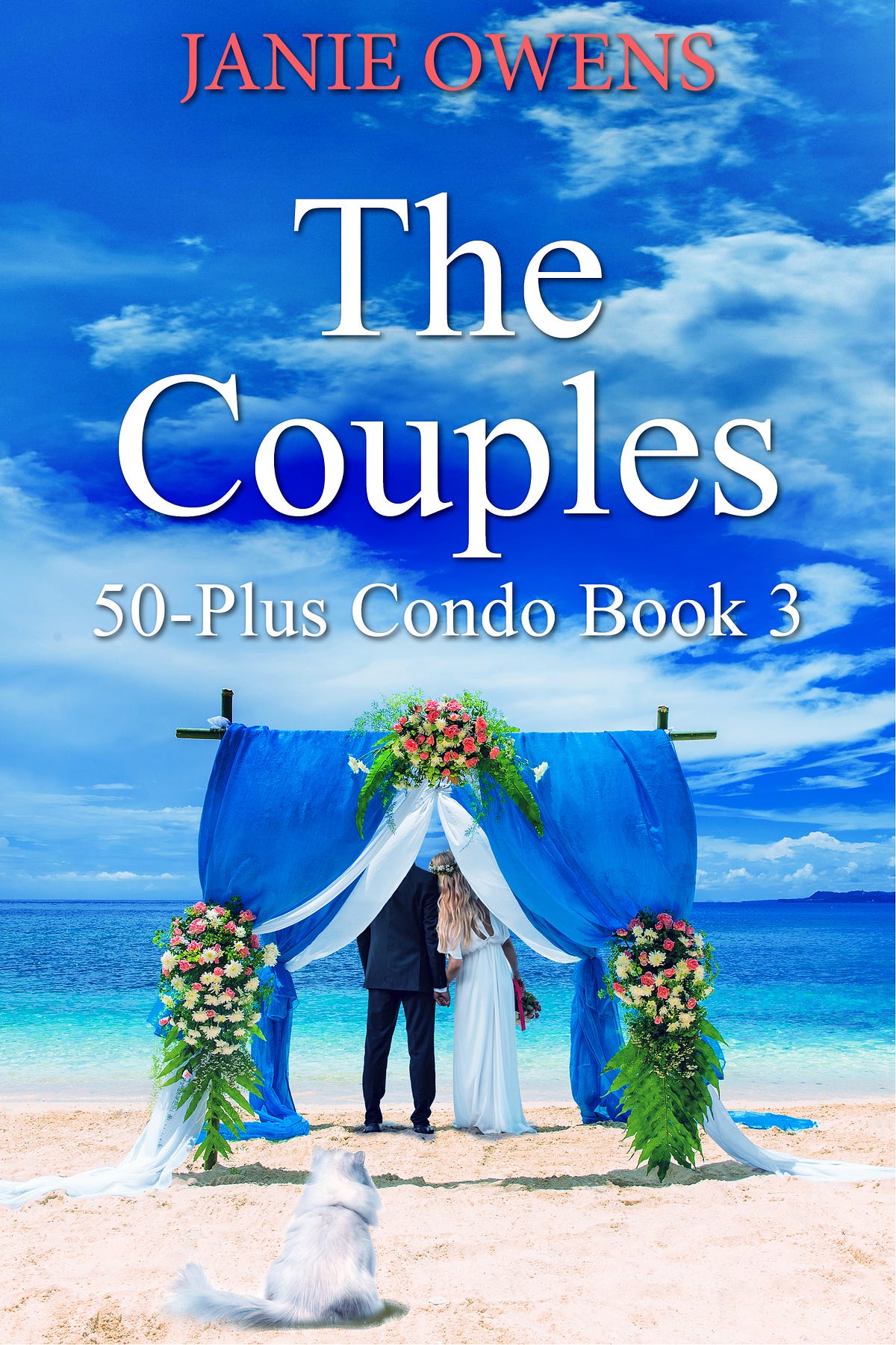 The Couples by Janie Owens [Cozy Mystery] | by Next Chapter | Jun, 2024 | Medium