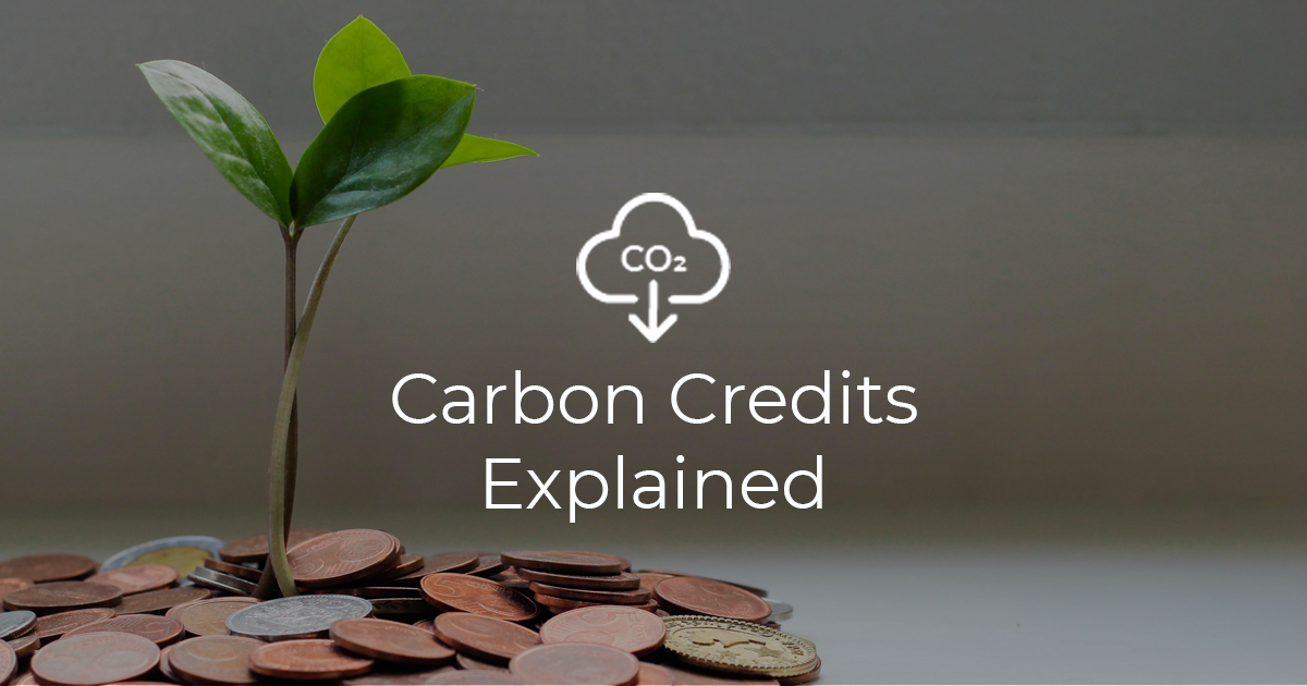 The Fusion of Carbon Credits and Innovative Technology: How OCA Carbon ...