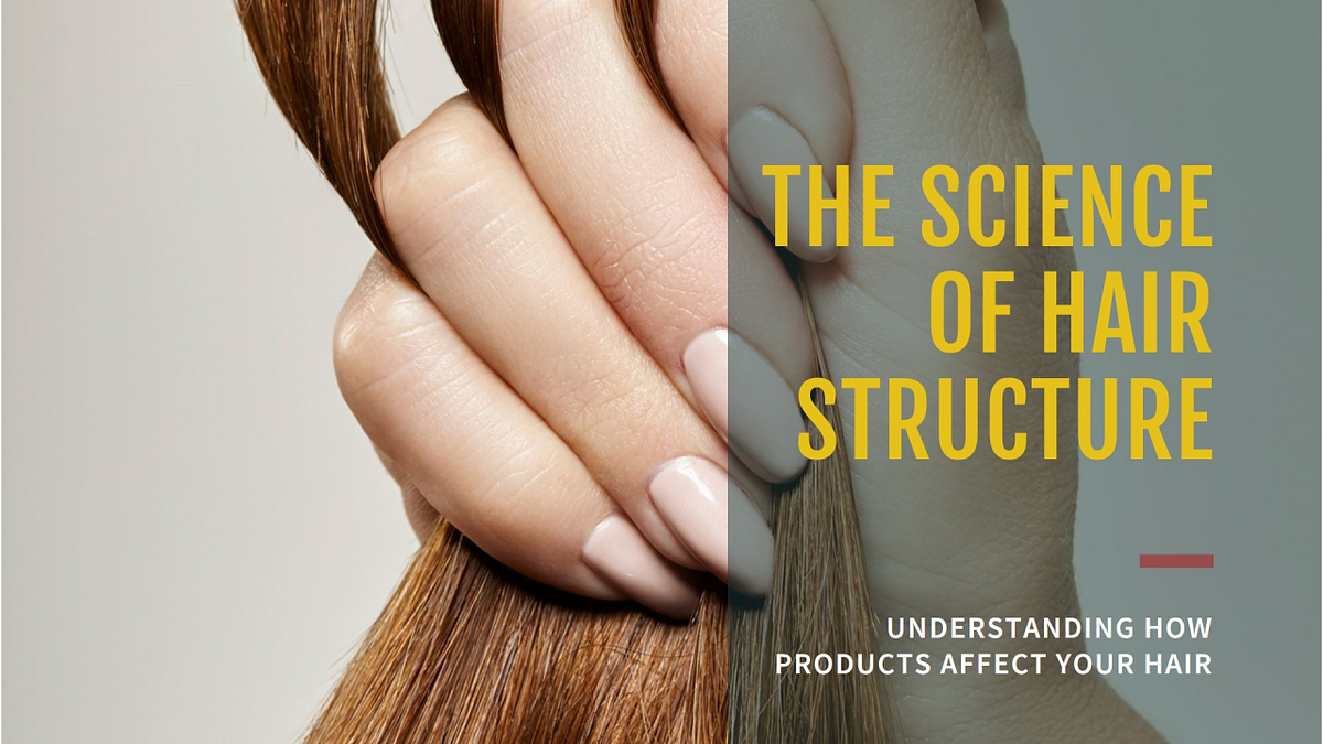 The Science Behind Hair Structure and How Hair Products Hurt and Repair ...
