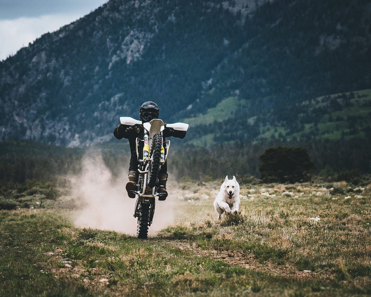Full Throttle. I have never been a person to do things… | by Nikkie Jay ...