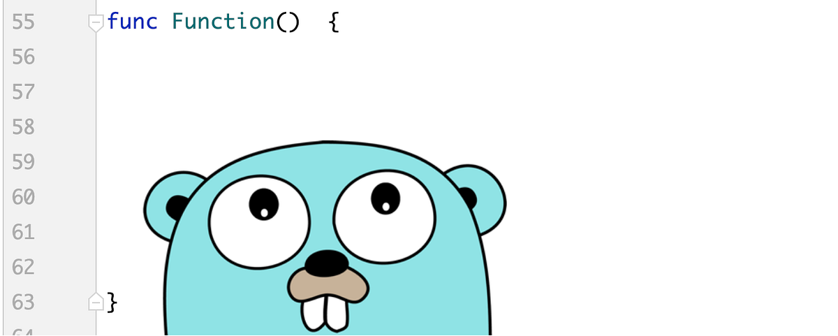 Functions in Go. Clean Code Series. | by Bashayr Alabdullah | Medium