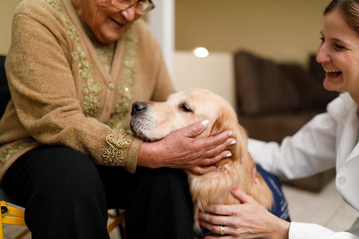 Integrative Therapies for Comforting Pets | by Tender Transitions | Feb ...
