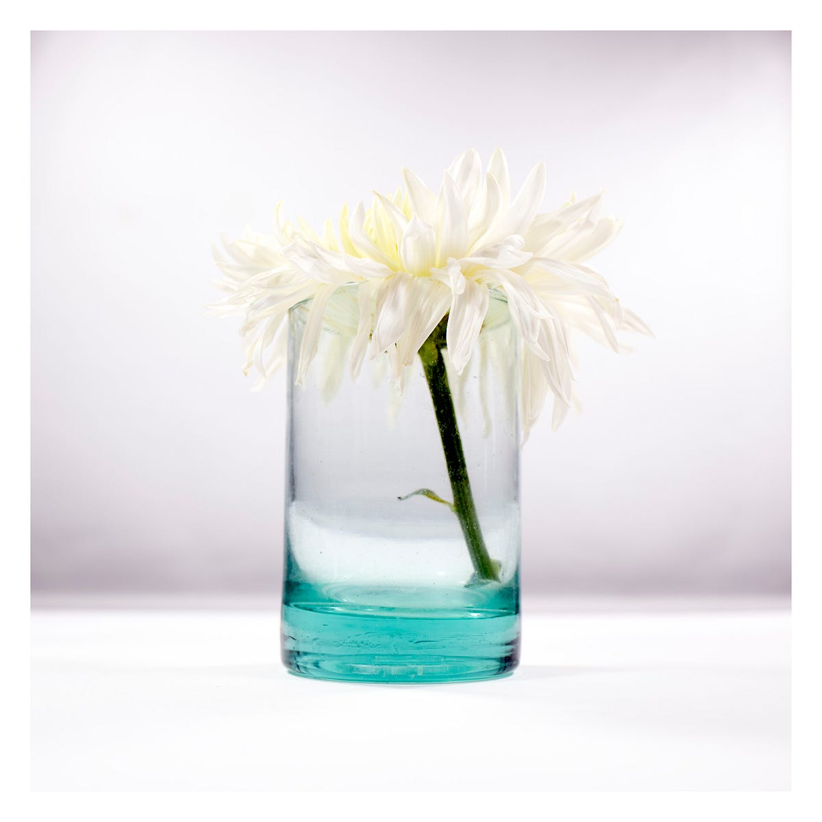 This is the same flower I photographed a few days ago. (I photographed ...