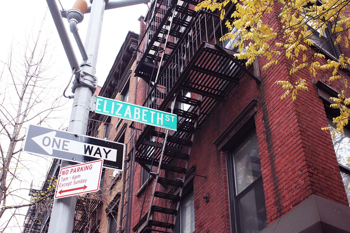 Elizabeth Street. If I were rich I would buy all my… | by lilyhaight ...