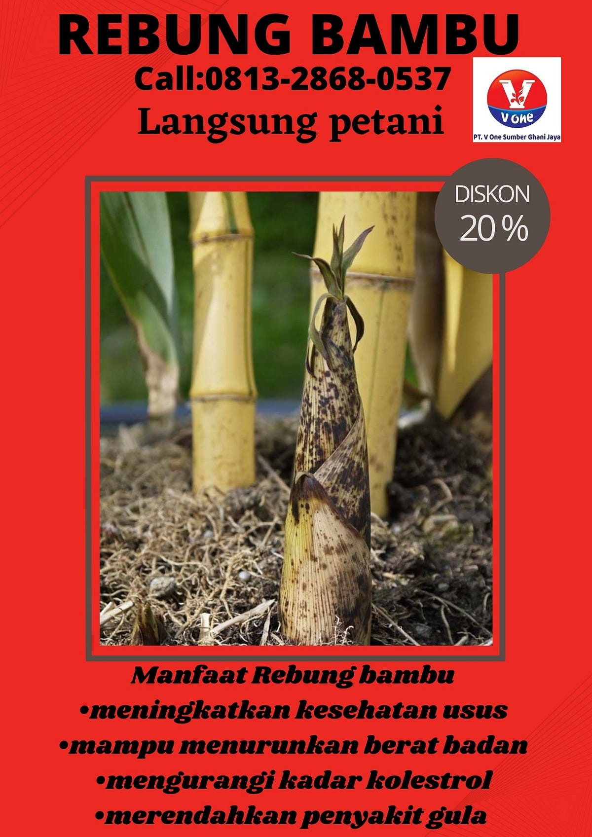 Pusat Budidaya Herbal Rebung Bambu Betung Tambak Bayumas ...