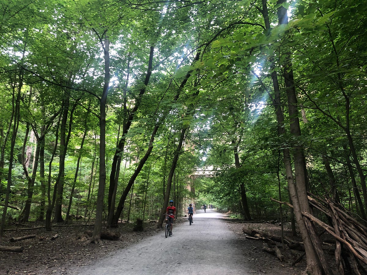 Running in Toronto #2 — Exploring the Don Valley, Beltline Trail ...
