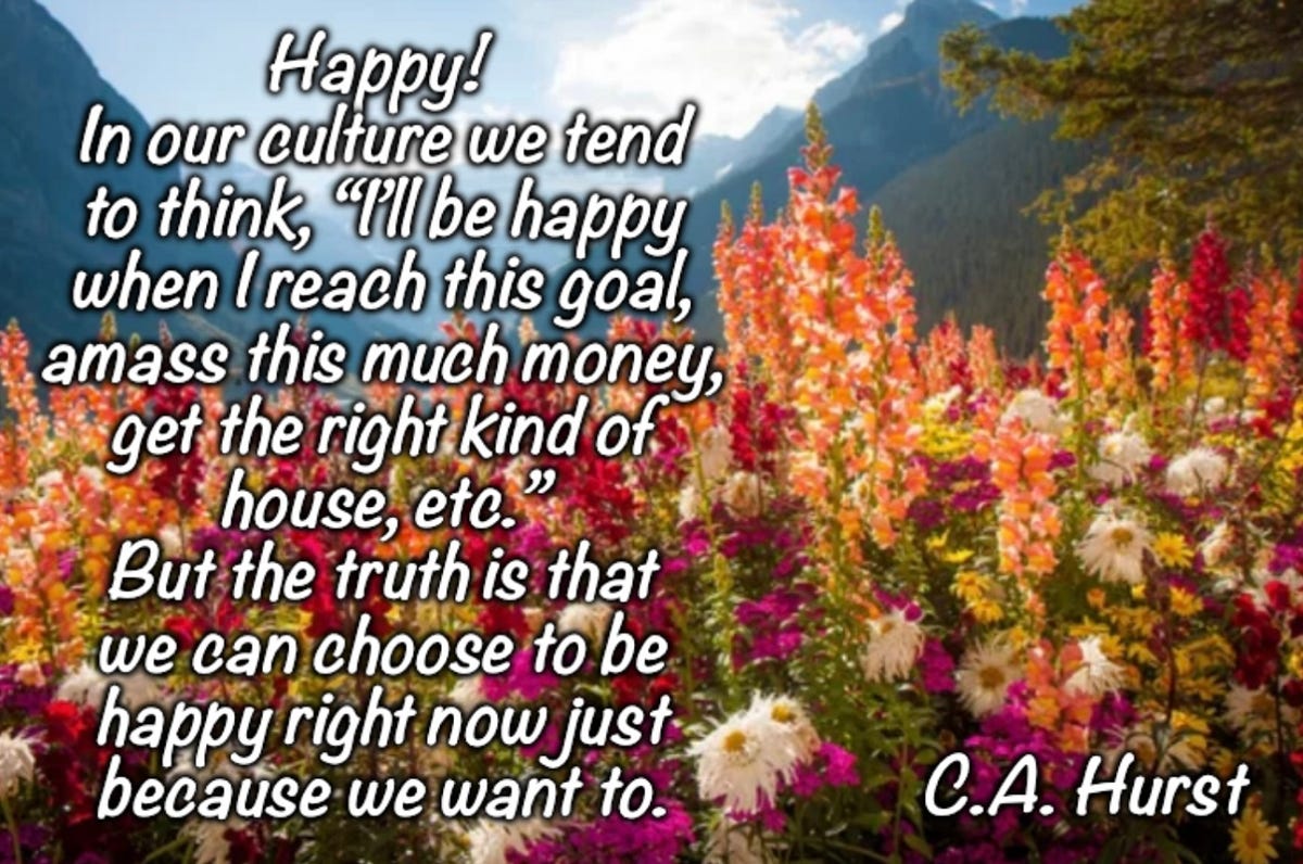 Happy! - C. A. Hurst - Medium