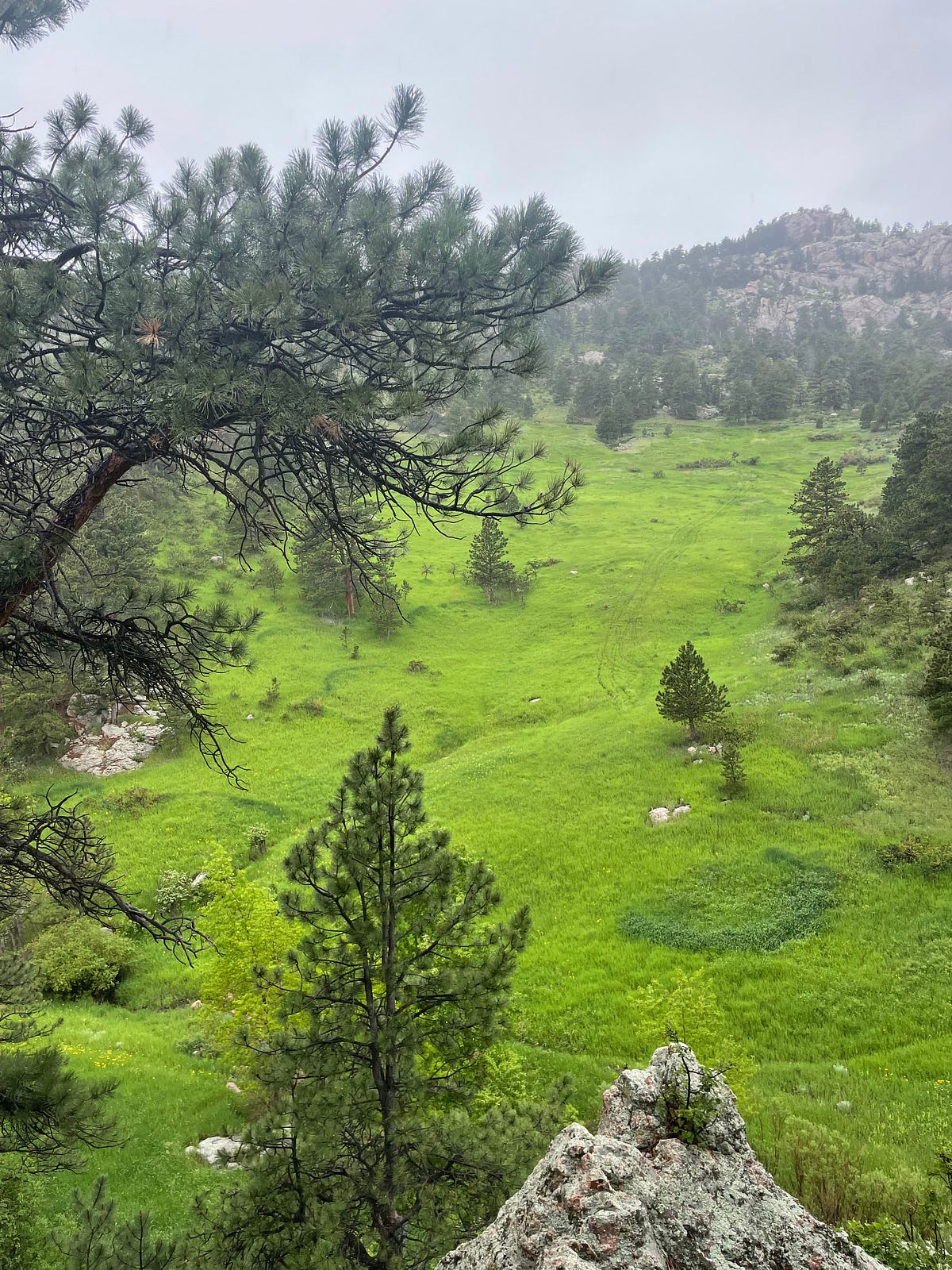 Why Do You Feel So Much Better When You’re Outside? | by Brody LeFever | Medium