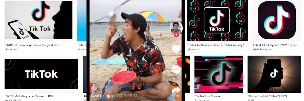 TikTok OSINT: targeted user investigation (Part 1/3: User) | by BTF_117 ...