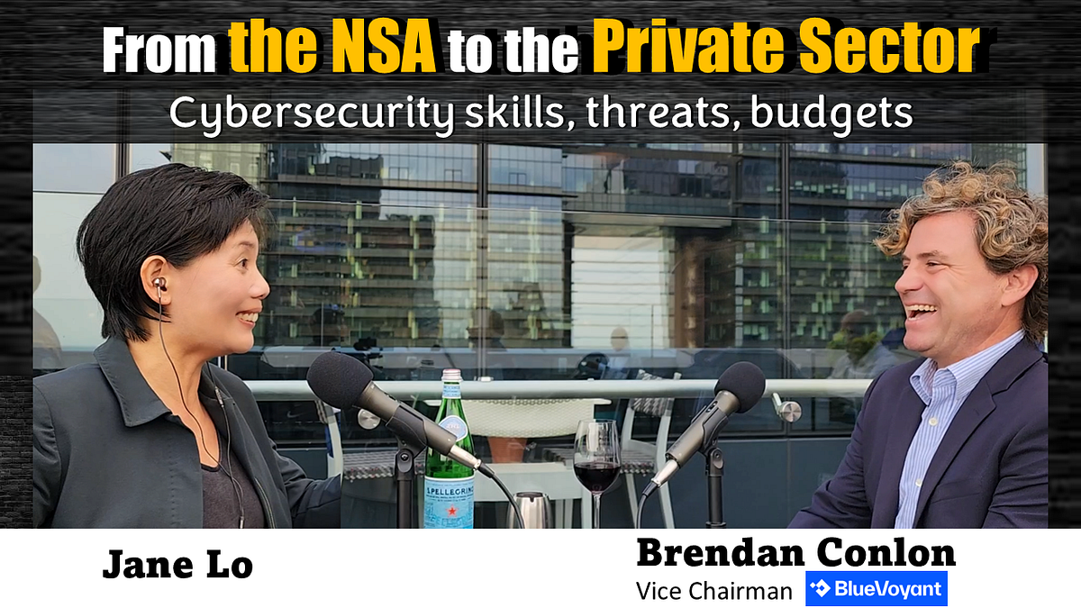 From NSA to the Private Sector — cybersecurity skills, threats, budgets ...