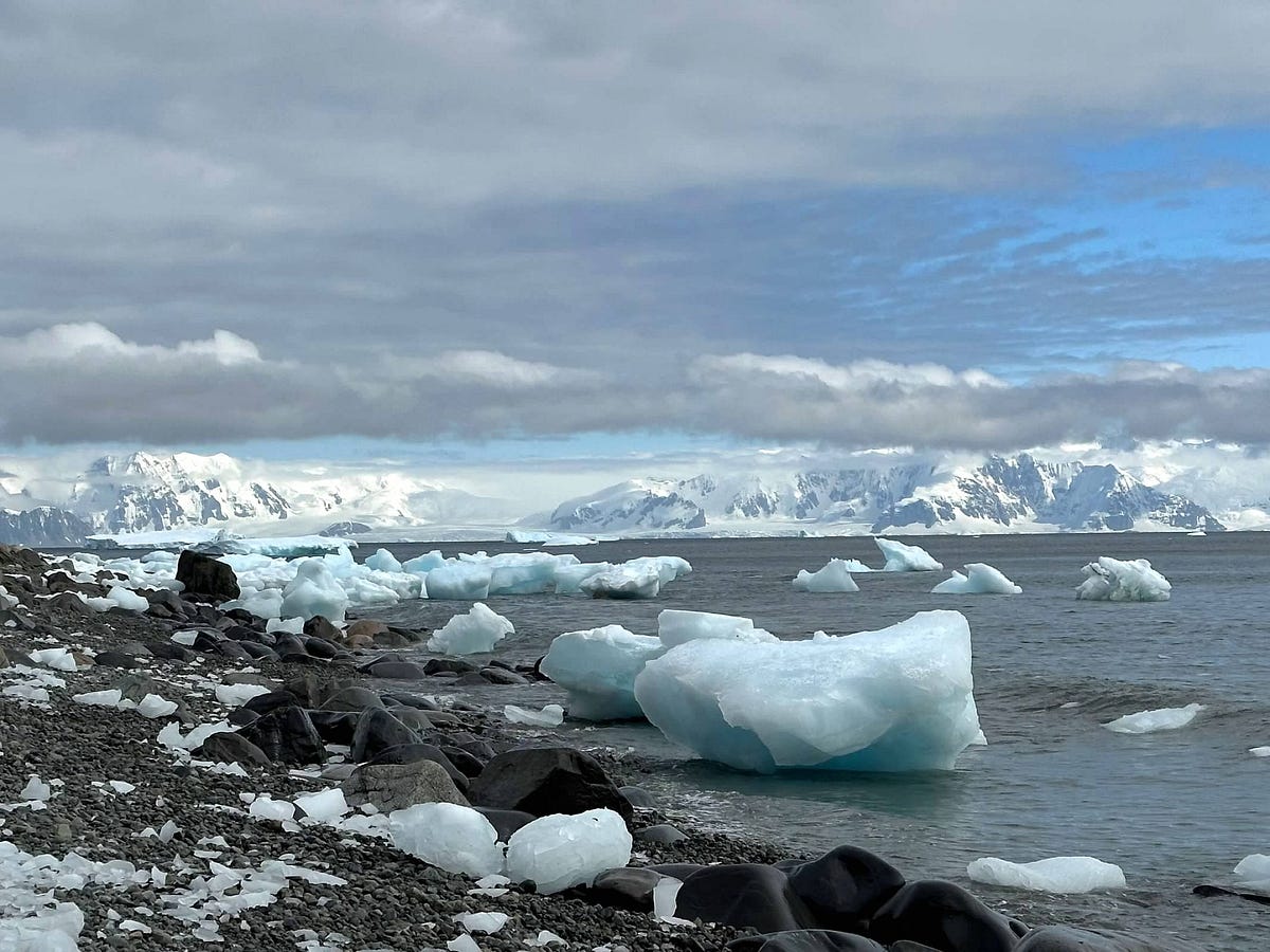 14 Fun Facts About Antarctica. Antarctic Ambassador Series | by ...
