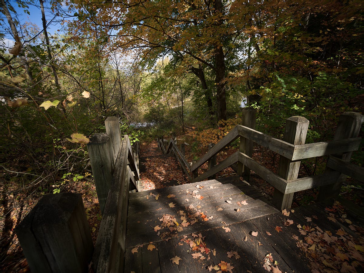 My Dharma History. By Michael Erlewine | by Michael Erlewine ...