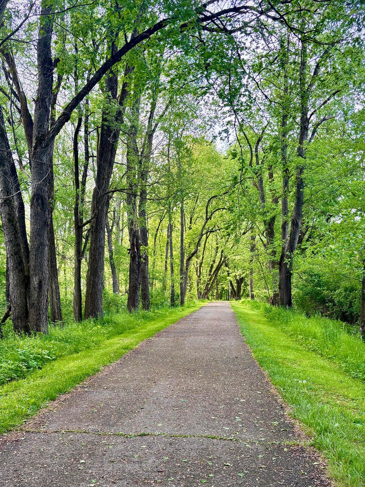 Choosing the Unknown: A Reflection on Struggle and Purpose | by Kali ...
