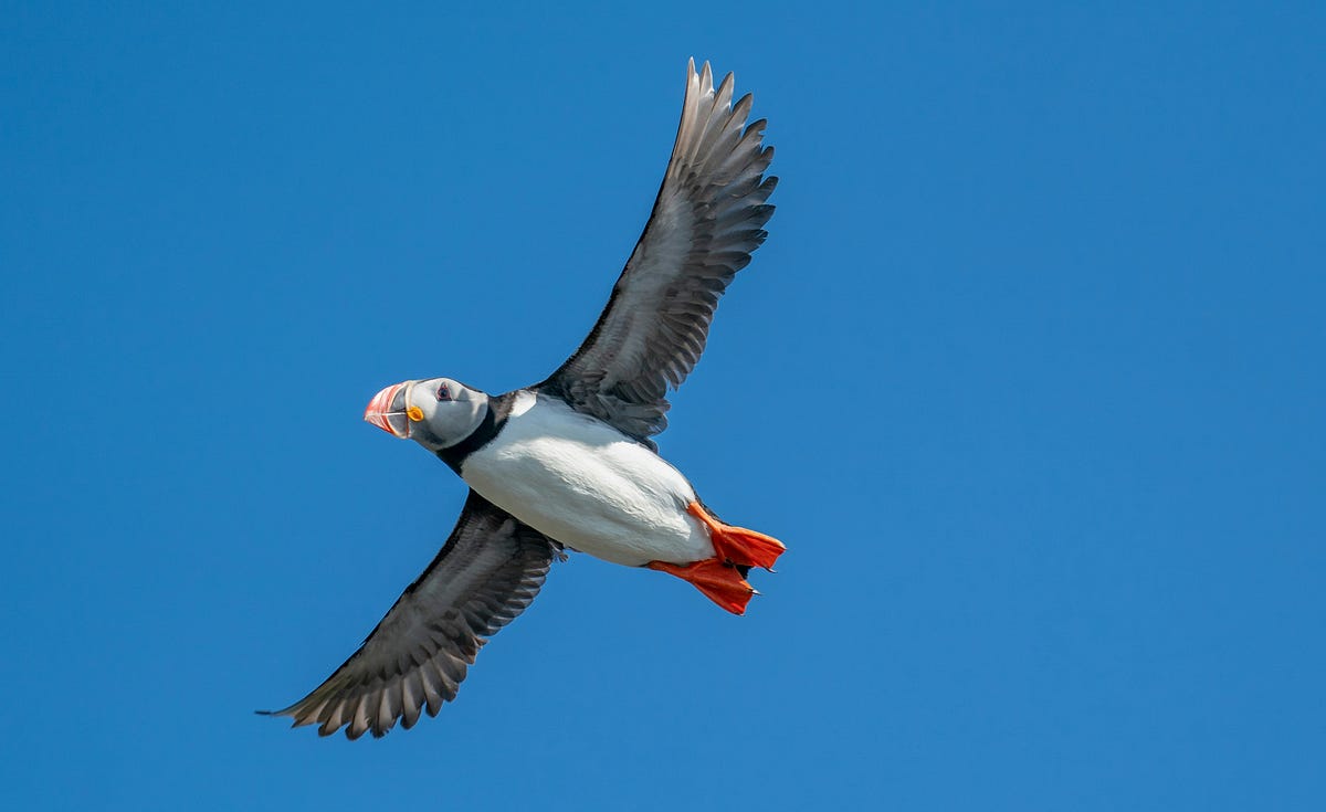 Google just launched the BigQuery JupyterLab Plugin | by Christianlauer ...