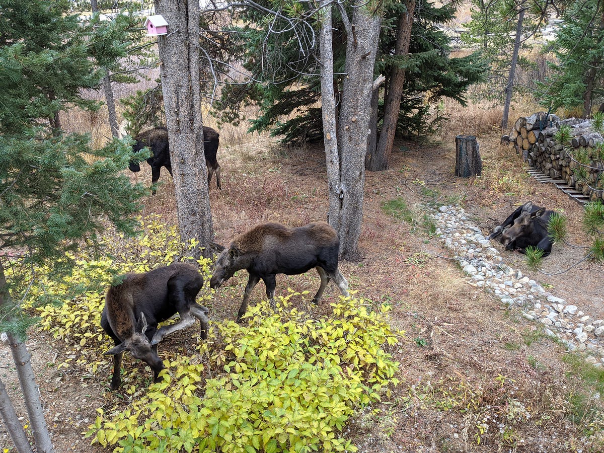 A local’s guide to Breckenridge, Colorado | by CJ Sullivan | Medium