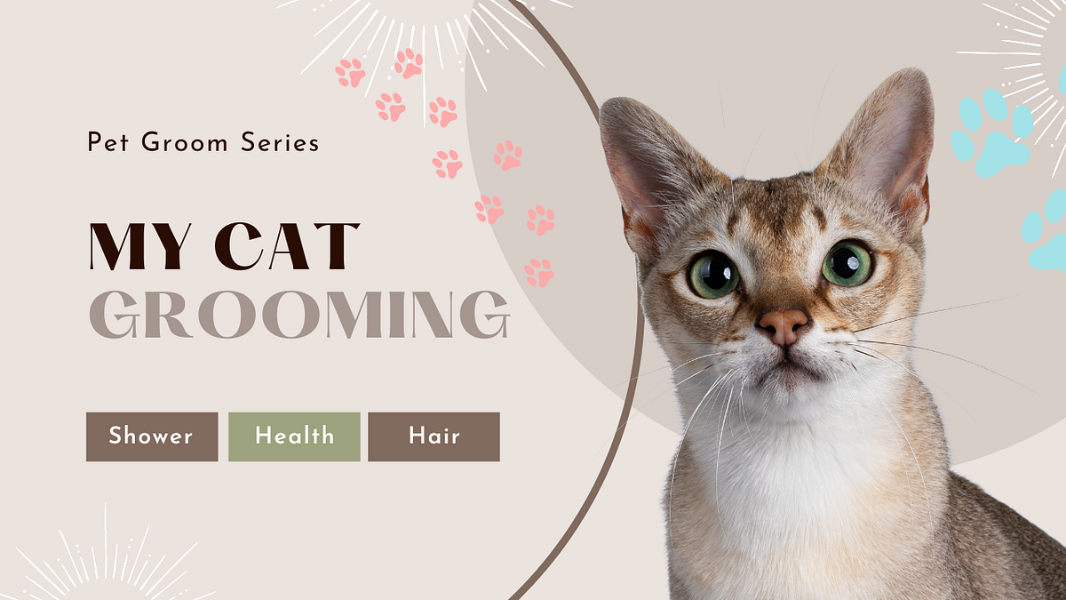 Easy Pet Grooming Hacks for Keeping Your Pet Fresh and Happy. | by ...