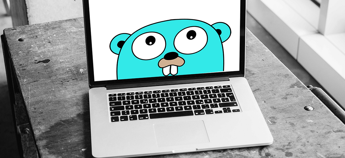 Testing Golang code: our approach at Wildlife | by Yuri Brito ...