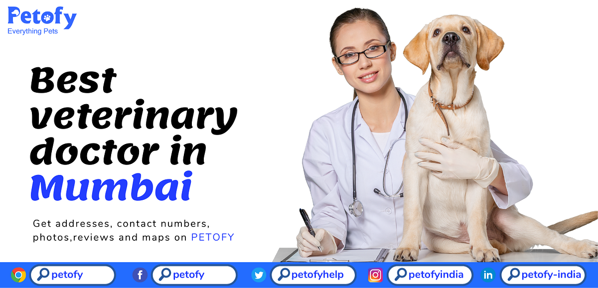 Best veterinary doctor in Mumbai - Petofy - Everything Pets - Medium