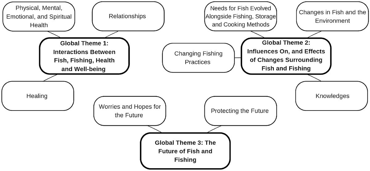 How Fish and Fishing Promote Health, Identity, and Culture in Remote ...