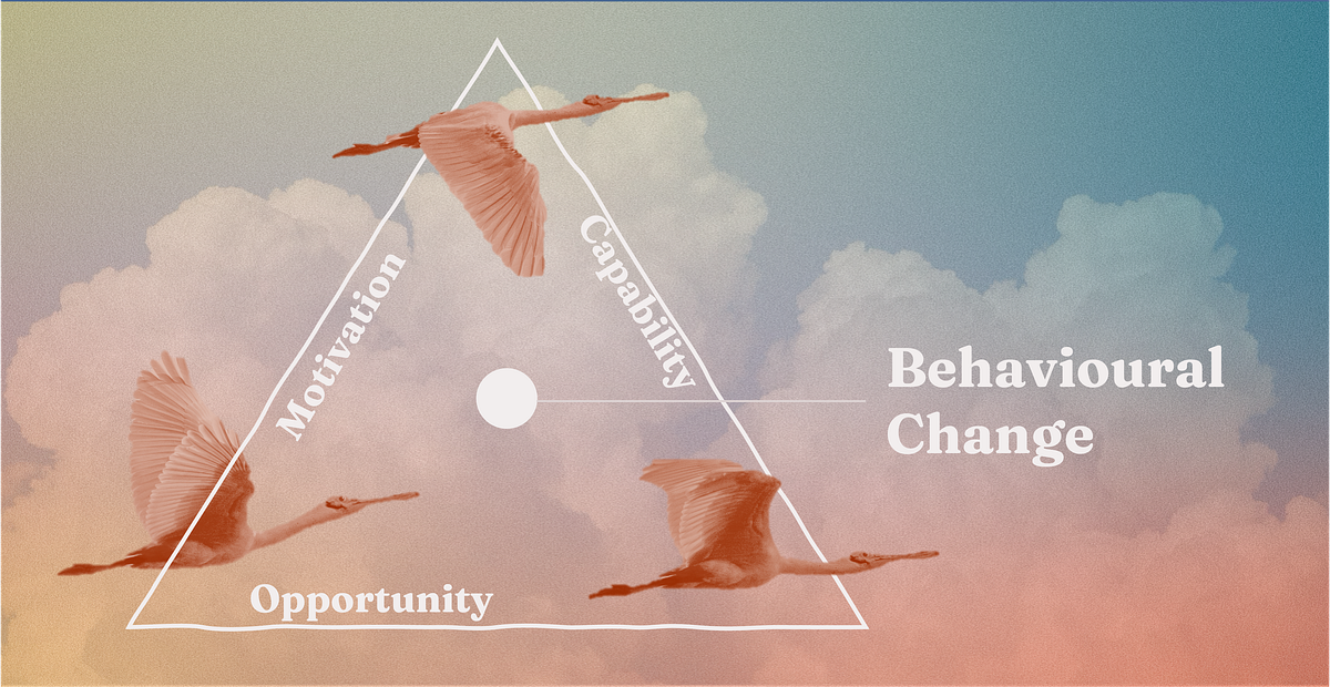 What Does Change Look Like?. Lessons from Measuring Contributions to ...