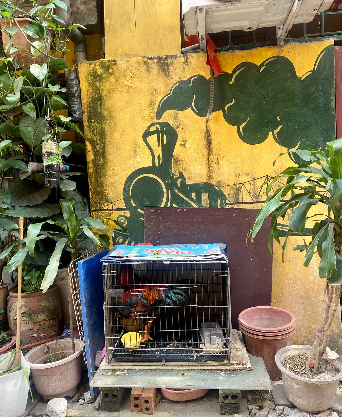The Colors of Hanoi. A guide to the colorful, vibrant… | by Kristine ...