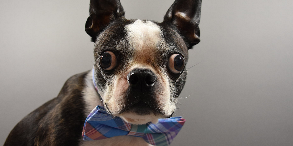 That Idea Stinks!. Write about it anyway. | by Remington Write | The ...