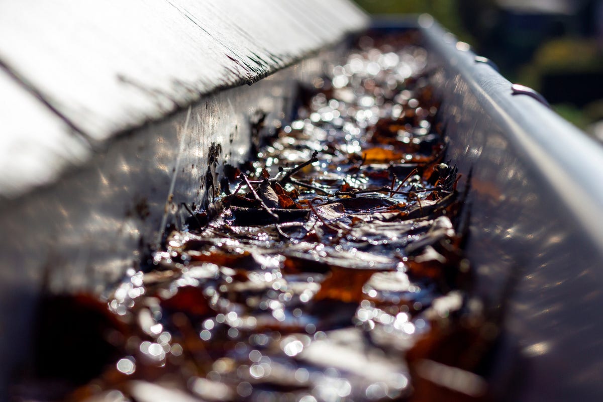GUTTERS & WATER DAMAGE RESTORATION | by Paul Messa | Feb, 2024 | Medium