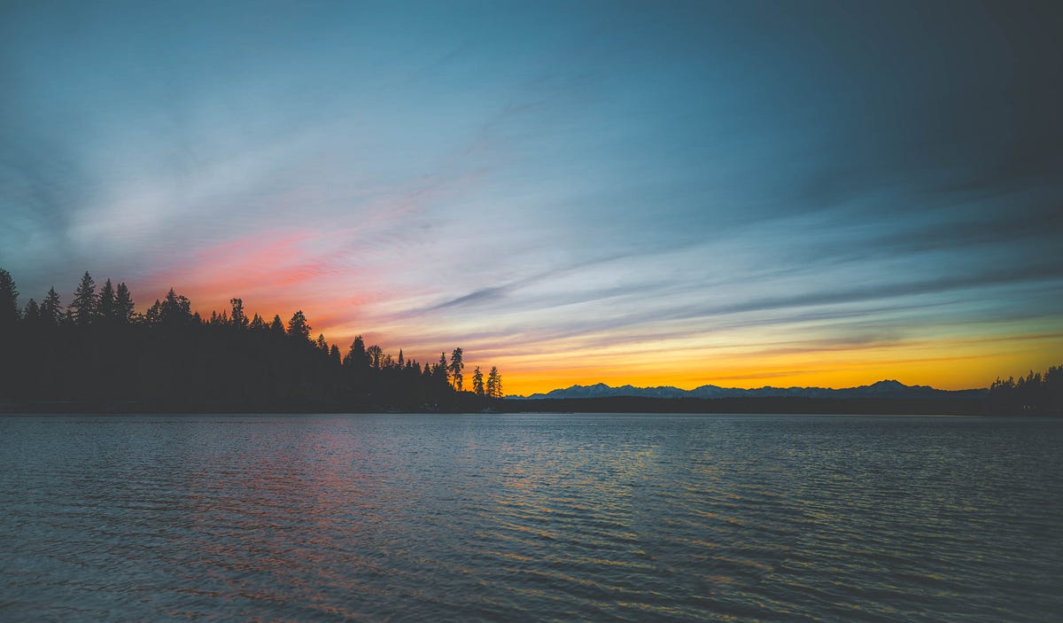 Laravel Dusk on CircleCI. I wanted to get dusk running on… | by James ...