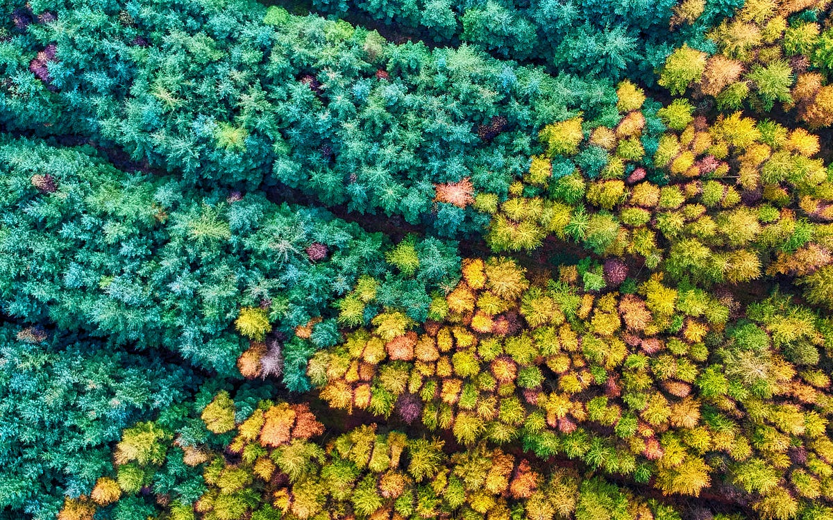 What is Model Drift in Machine Learning & why it is important? | by ...