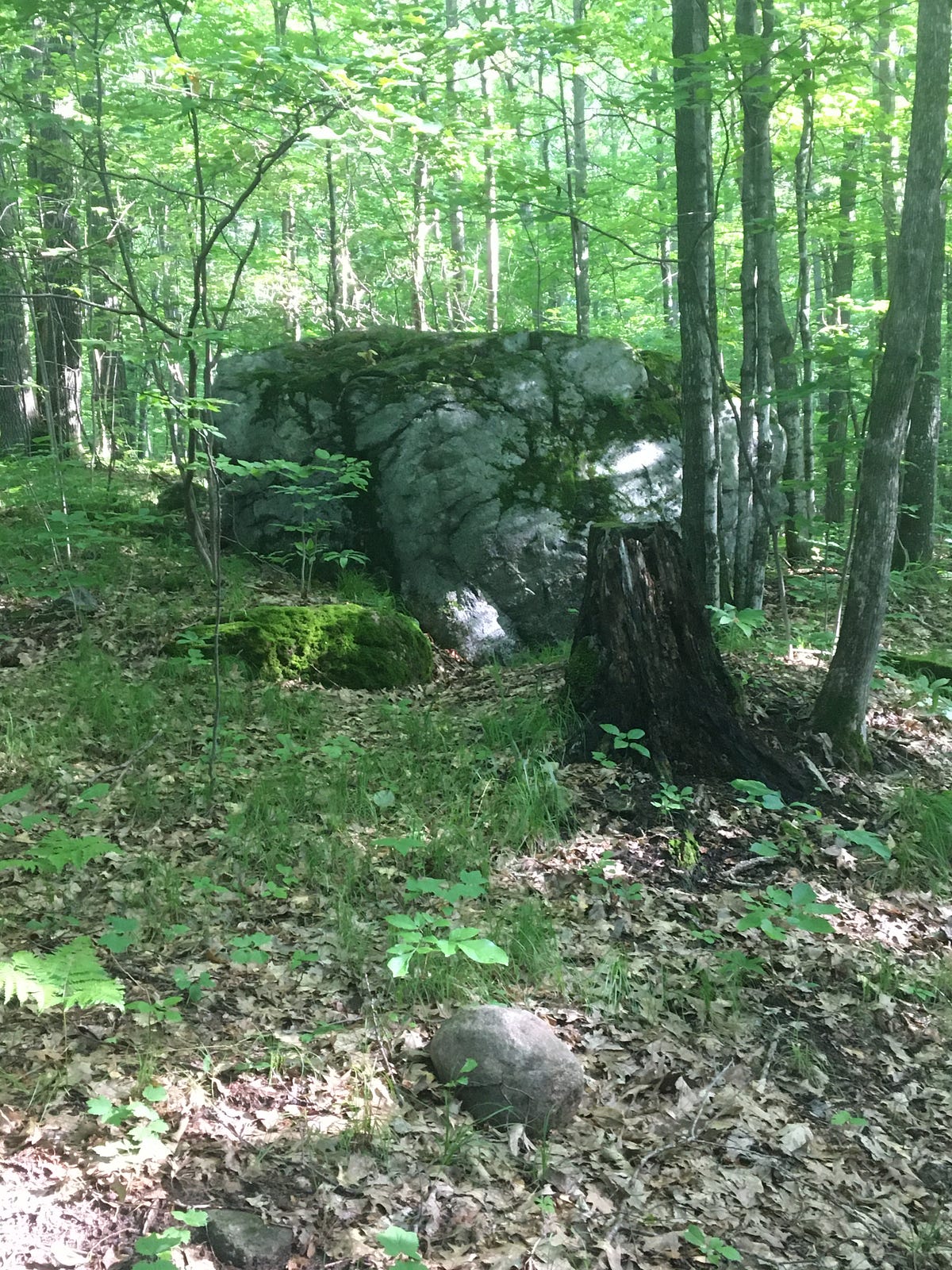 Sweet, Sweet Shade. June 28, 2020 — New Hope-Iola Ski Hill… | by Jon ...