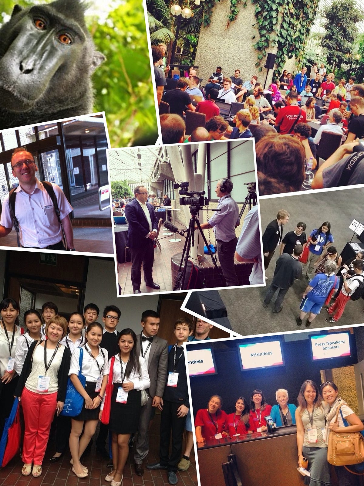 The WikiLocal. Good morning Wikimania! | by Wikimania London | Medium