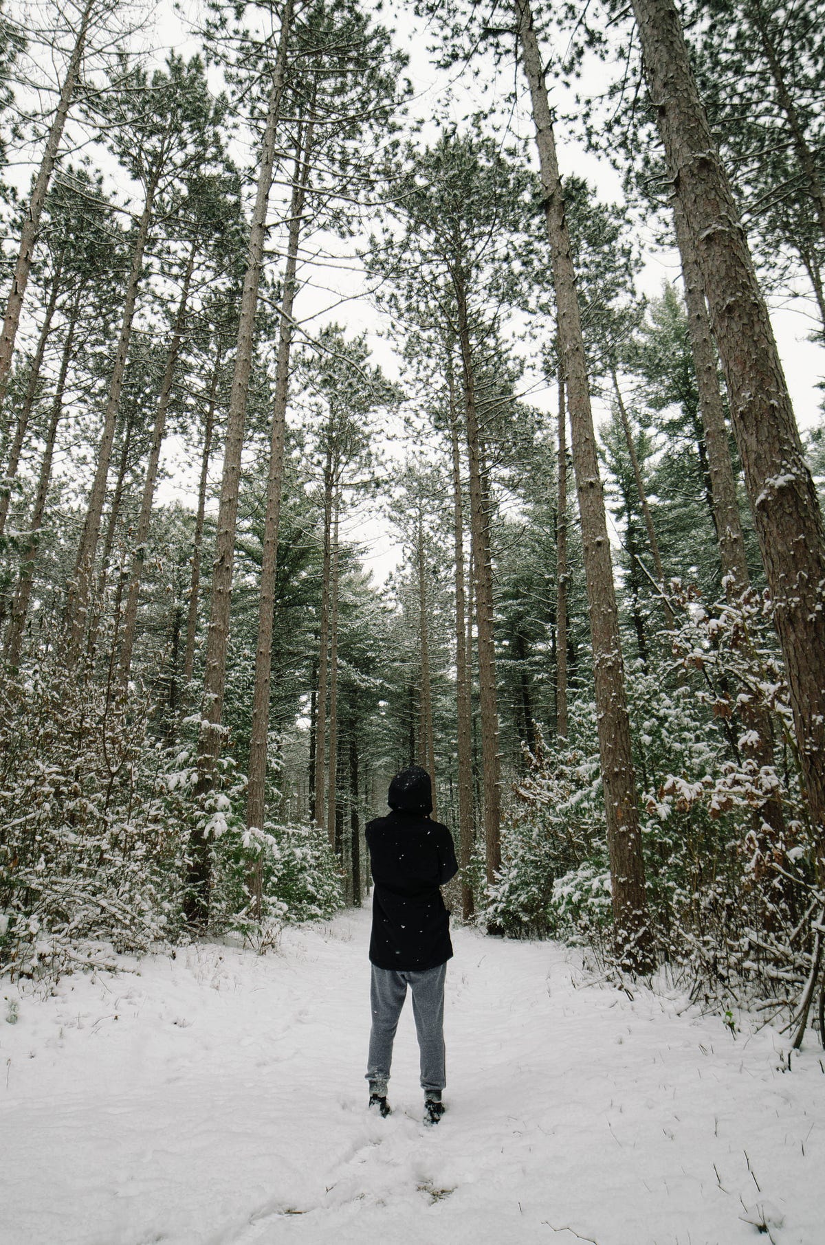 How to Shift out of That Stuck Place | by Gwen Irwin | Ascent ...