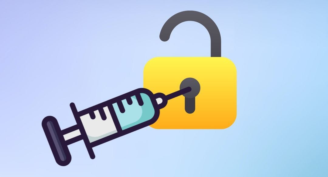 We need startups to fight prompt injection, the top LLM security risk ...
