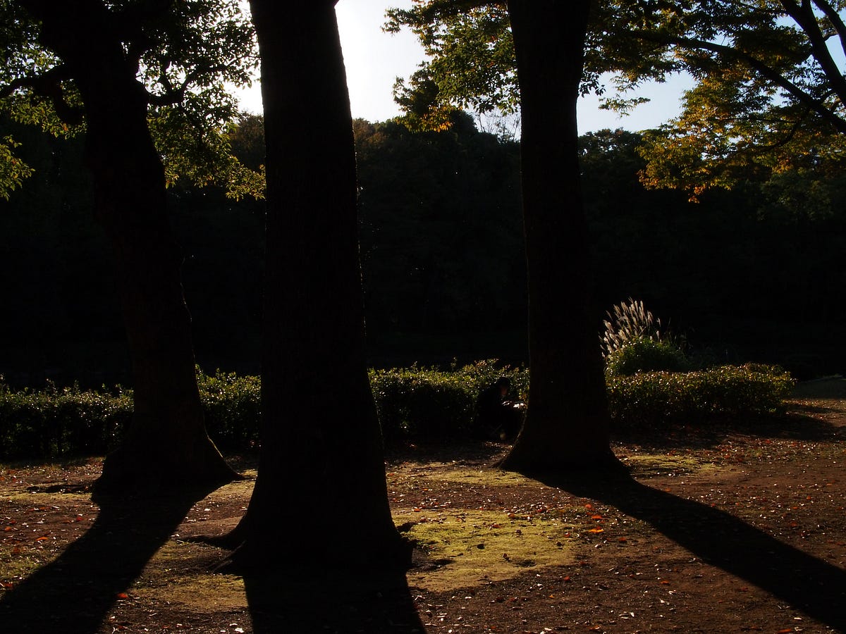 First shot, best shot. Story of photographer’s talking goes… | by Yasuo ...