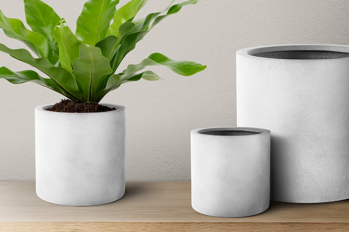 Fiberglass Planters : latest Collection Of IAPSF - IAPSF - Medium