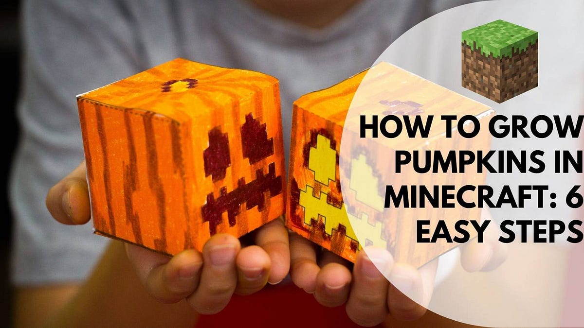 How to Grow Pumpkins in Minecraft | Medium