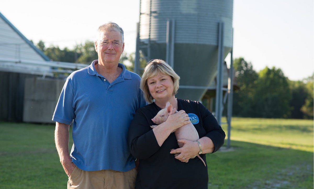 Why I farm: Something For Everyone | by Jan Archer | Medium
