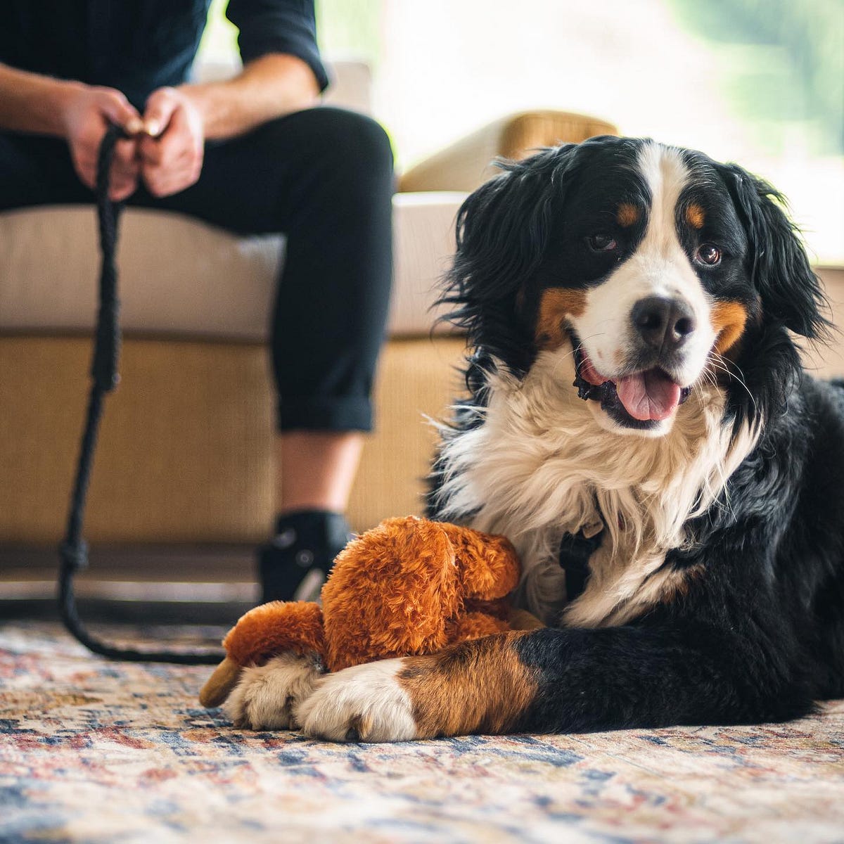 Ski-In Ski-Out! The Josie Hotel Brings the Powder — EcoLux☆Lifestyle ...