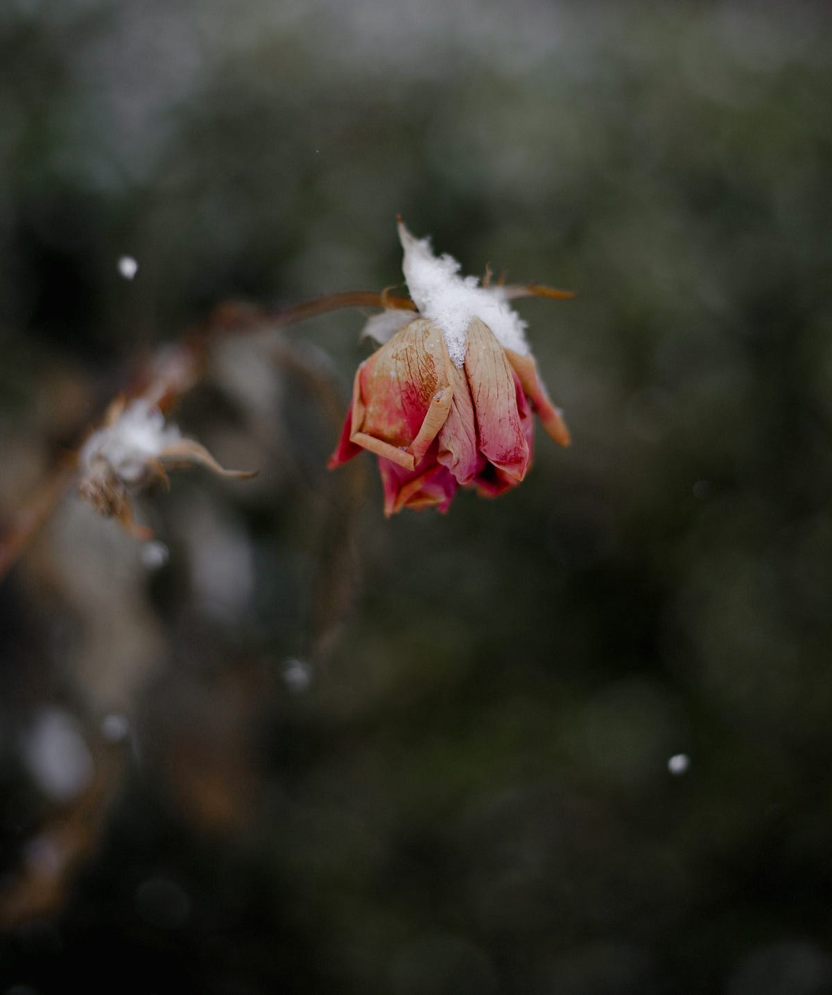 The Future Of JavaScript: Why It Is The Language Of The Next 10 Years ...