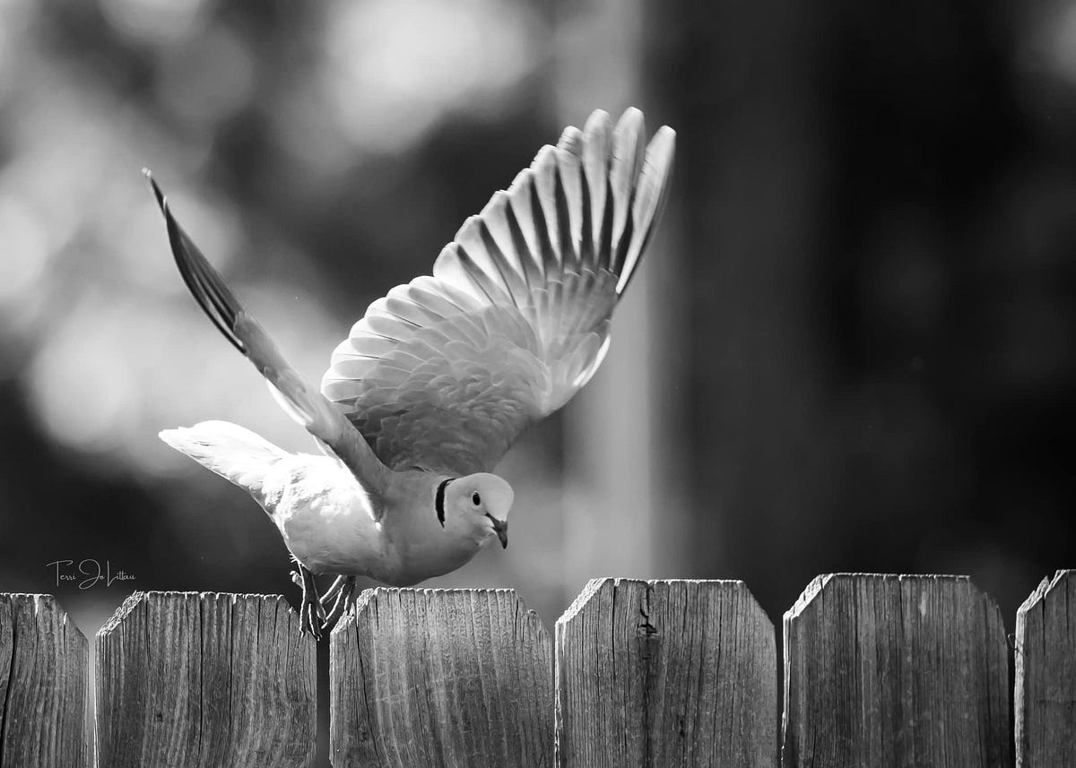 Oklahoma Cops Still Seizing Millions from Motorists | by Ted Streuli ...