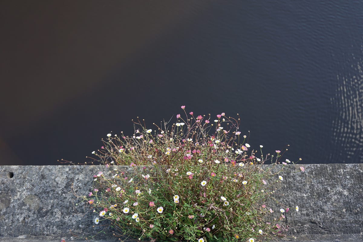 Why to simplify my life?. We often feel the need to change our… | by ...