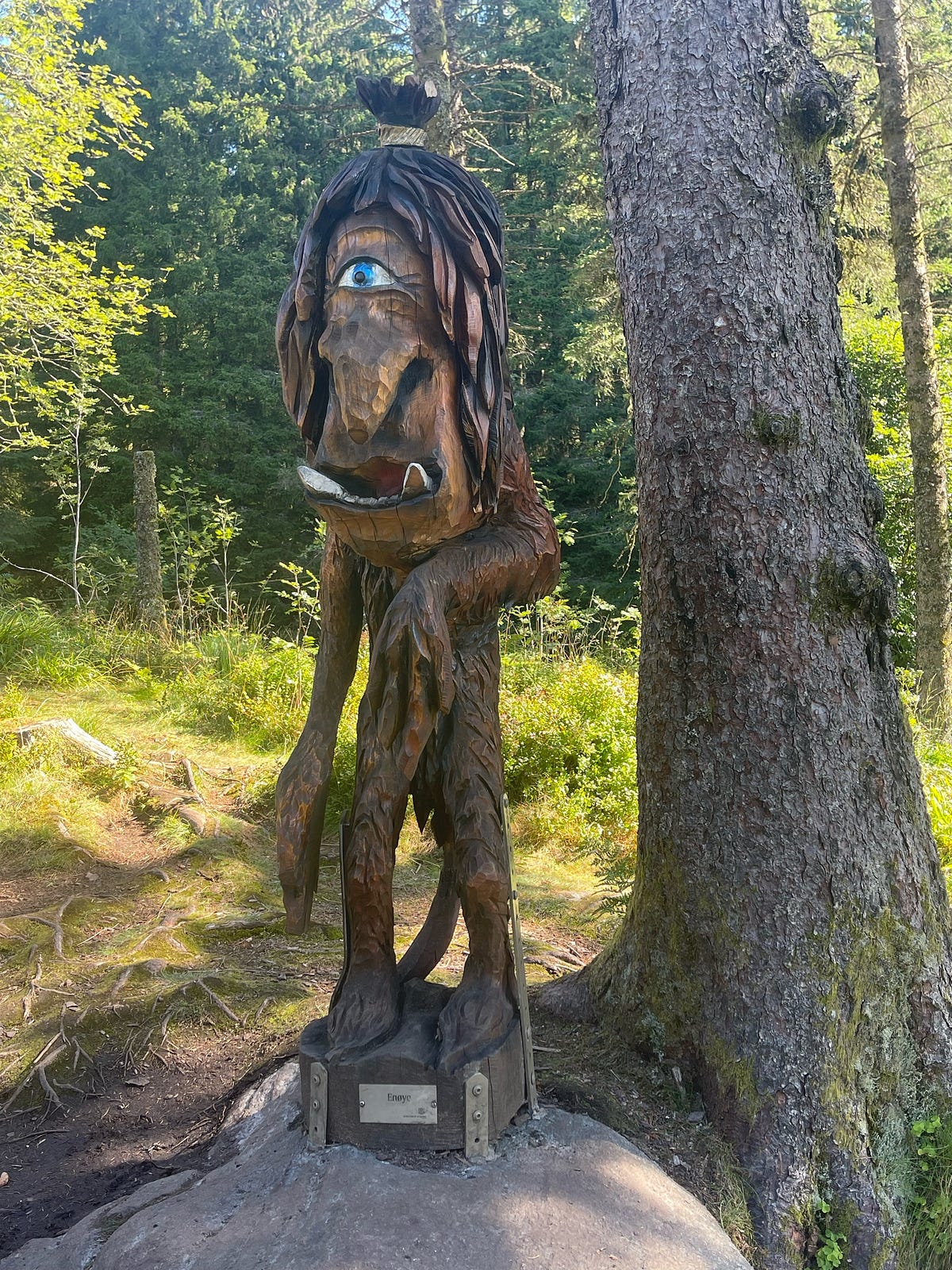 The Coolest Trolls Live off the Internet | by Gauri Sirur | Picture ...