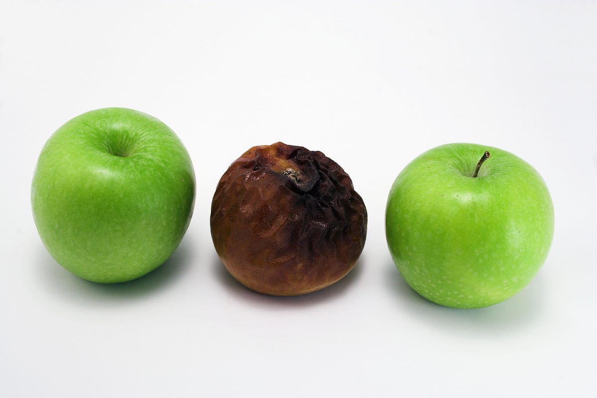 Shame on You for letting one BAD apple spoil the whole bunch | by Coach ...