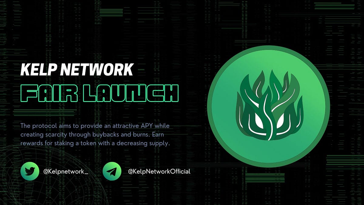 FAIR LAUNCH Detail 🧤. What Kelp Network ? The protocol aims… | by Kelp ...
