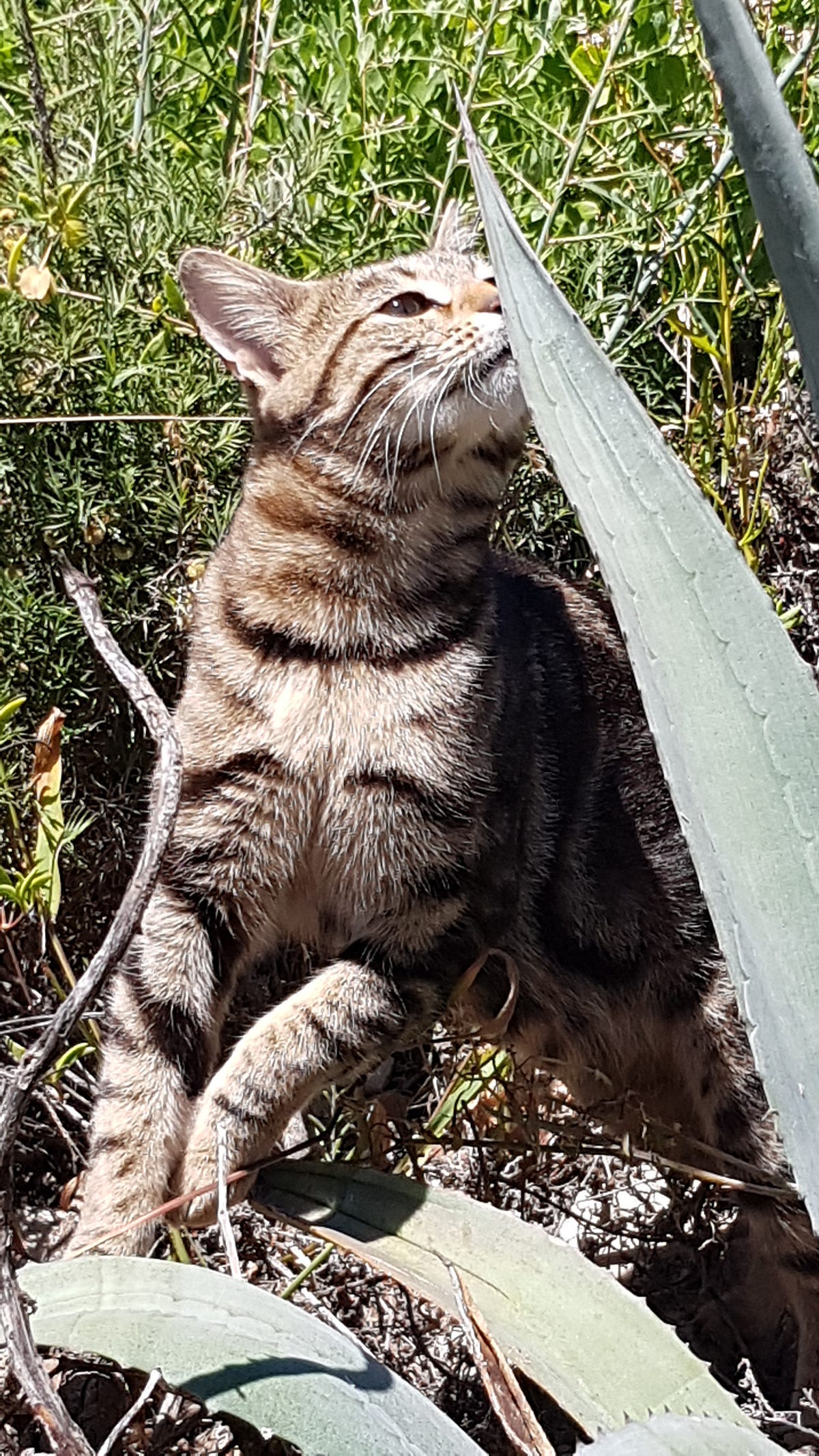 Let’s get off our Butts and Move! | by Dion Groove | Sep, 2024 | Medium