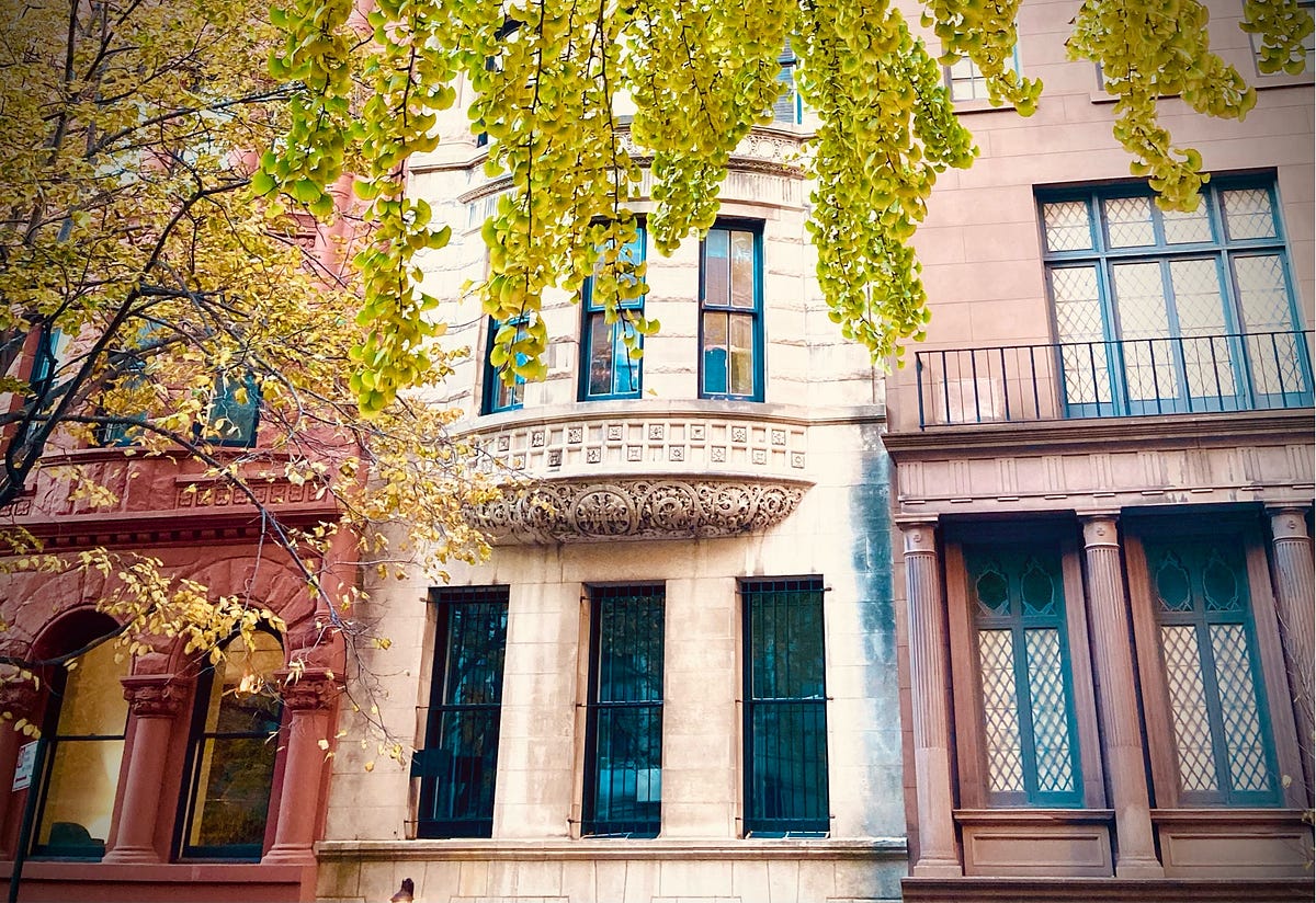 A Day in the Life of a Downstairs Neighbor | by Amarie Skrzyp ...