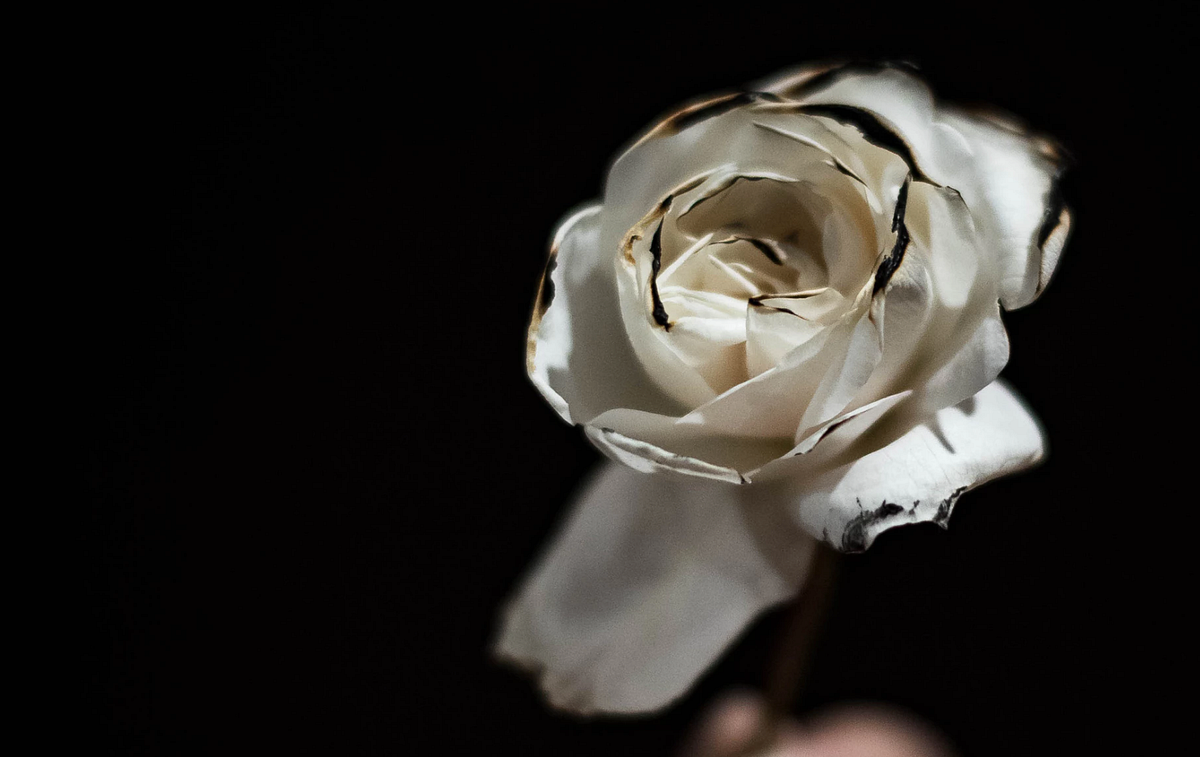 Who Gets To Have A ‘Good Death’?. A good death is often a privileged ...